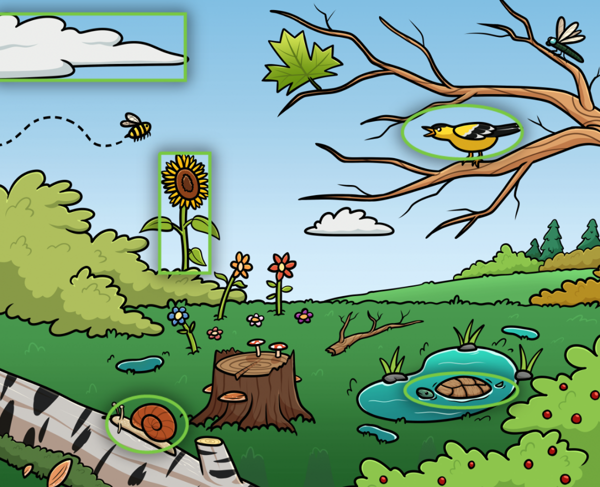Tiny Tap – Waking Up Ojibwe
